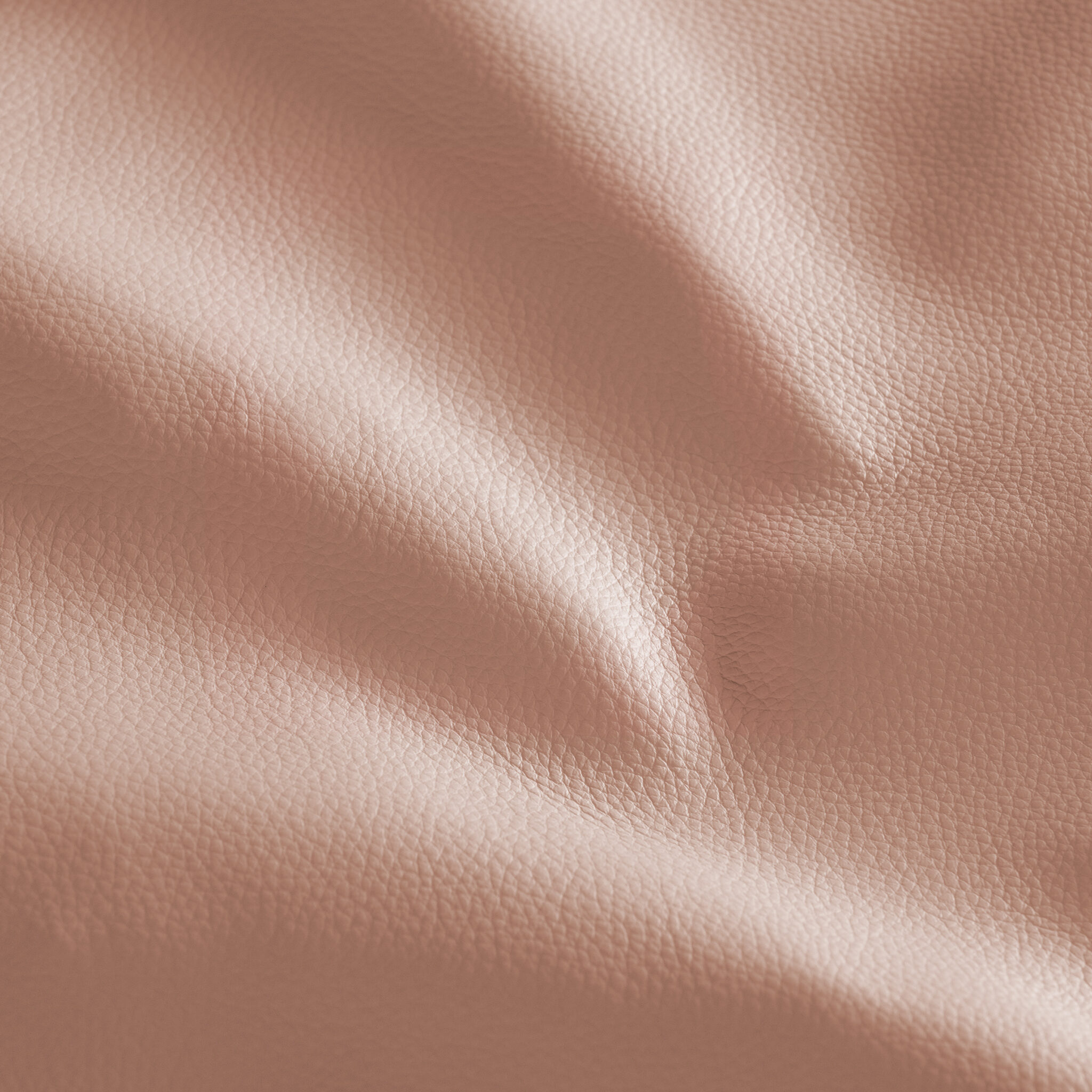 CARIBOU – Heller Leder